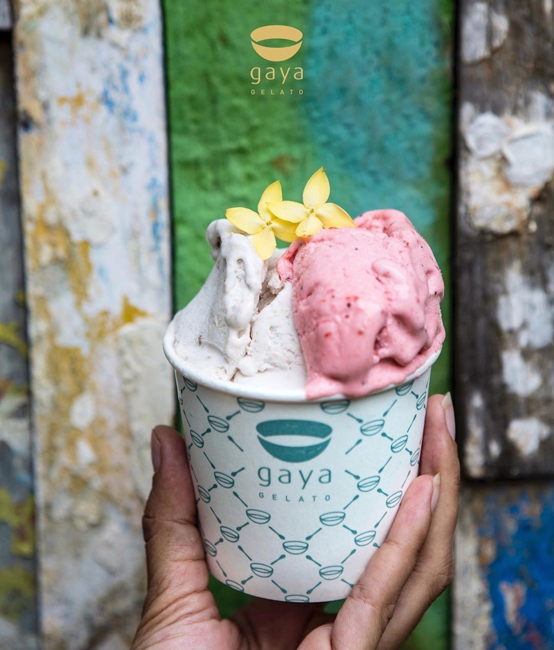 Gaya Gelato Lab Bali – Ubud/Seminyak/Canggu/Jimbaran/Uluwatu 09:00-22: ...
